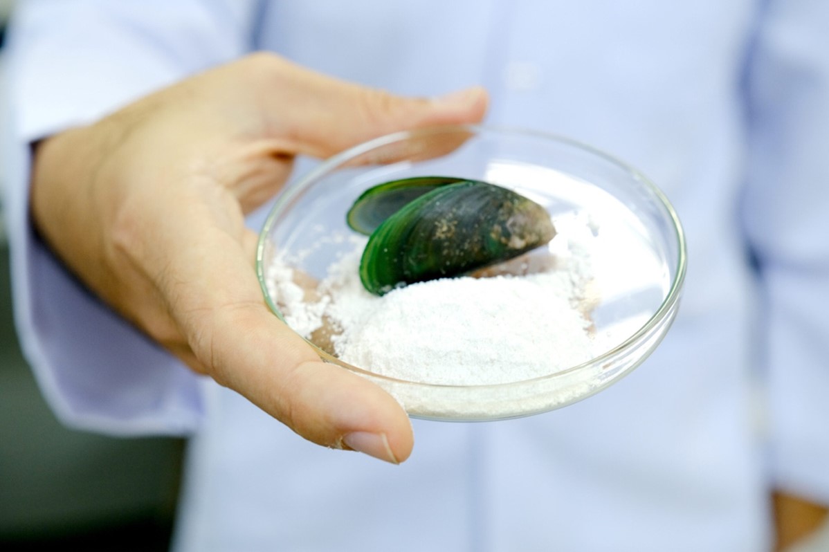 Transforming green mussel shells into paper coating and oil absorbent ...