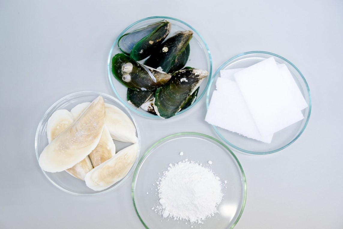 Transforming green mussel shells into paper coating and oil absorbent ...