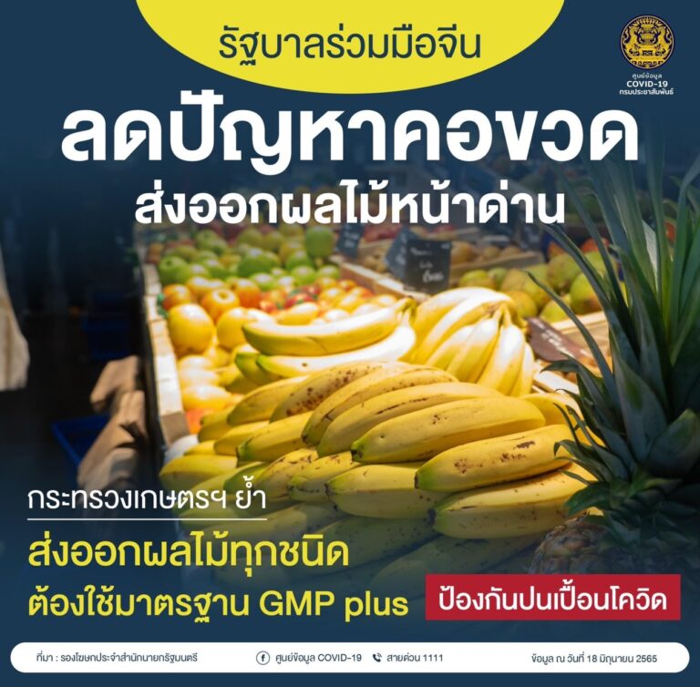 รัฐบาลร่วมมือจีน ลดปัญหาคอขวดส่งออกผลไม้หน้าด่าน ใช้มาตรฐาน GMP plus ป้องกันปนเปื้อนโควิด - BCG