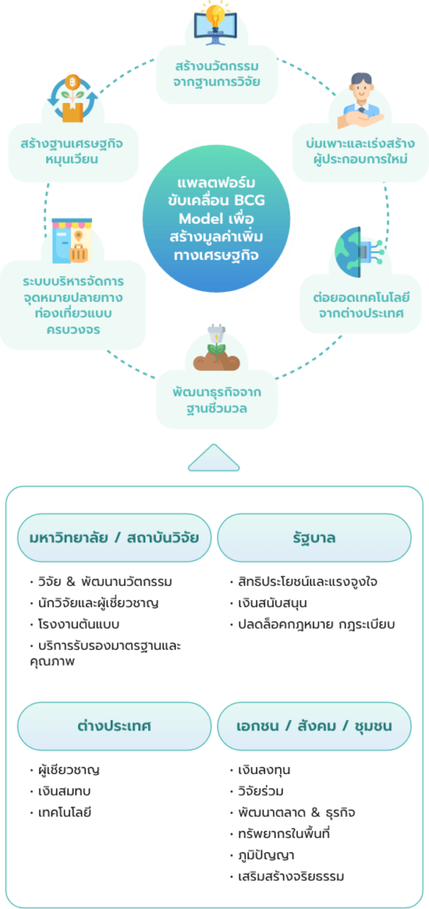 BCG เป็นมายังไง? - BCG