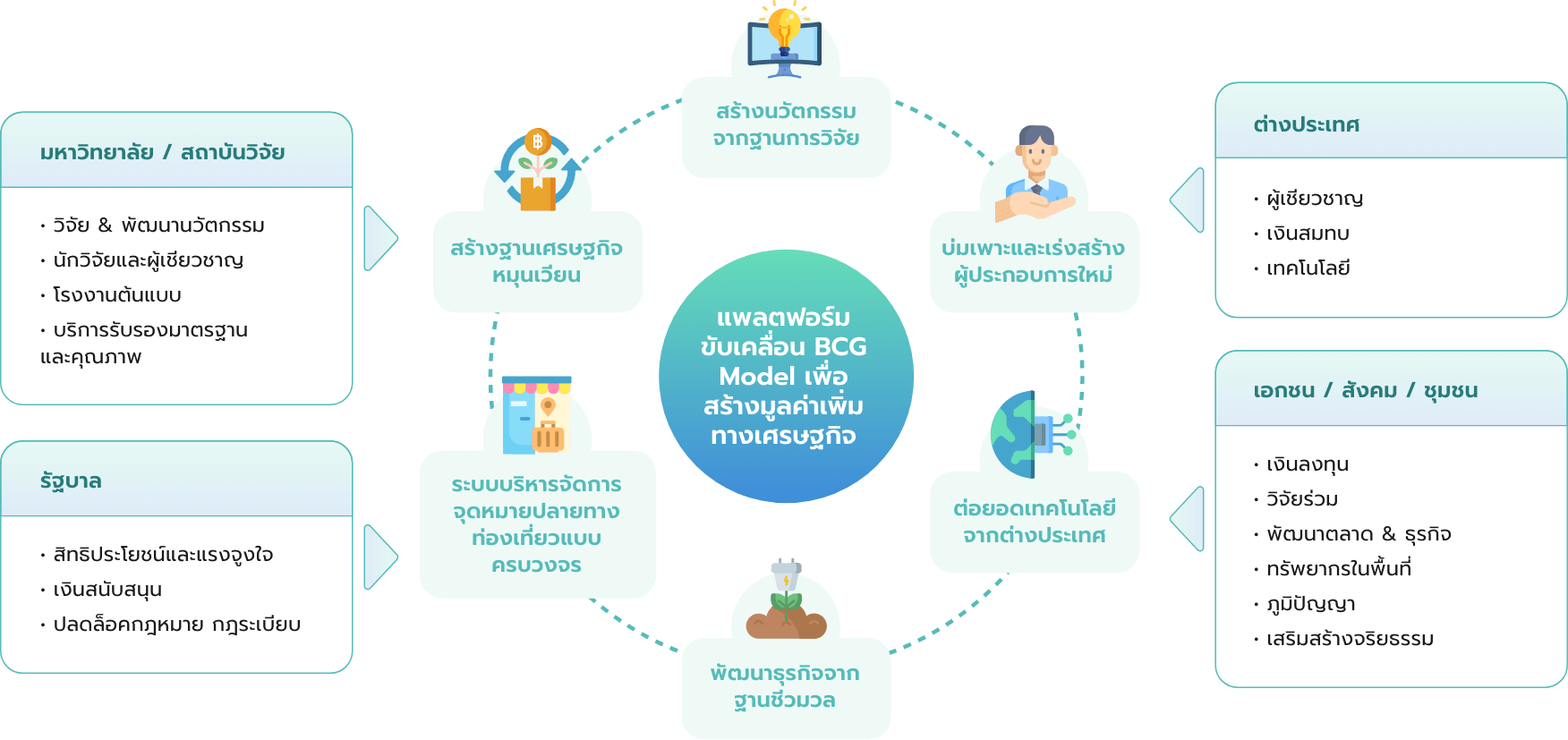 BCG เป็นมายังไง? - BCG